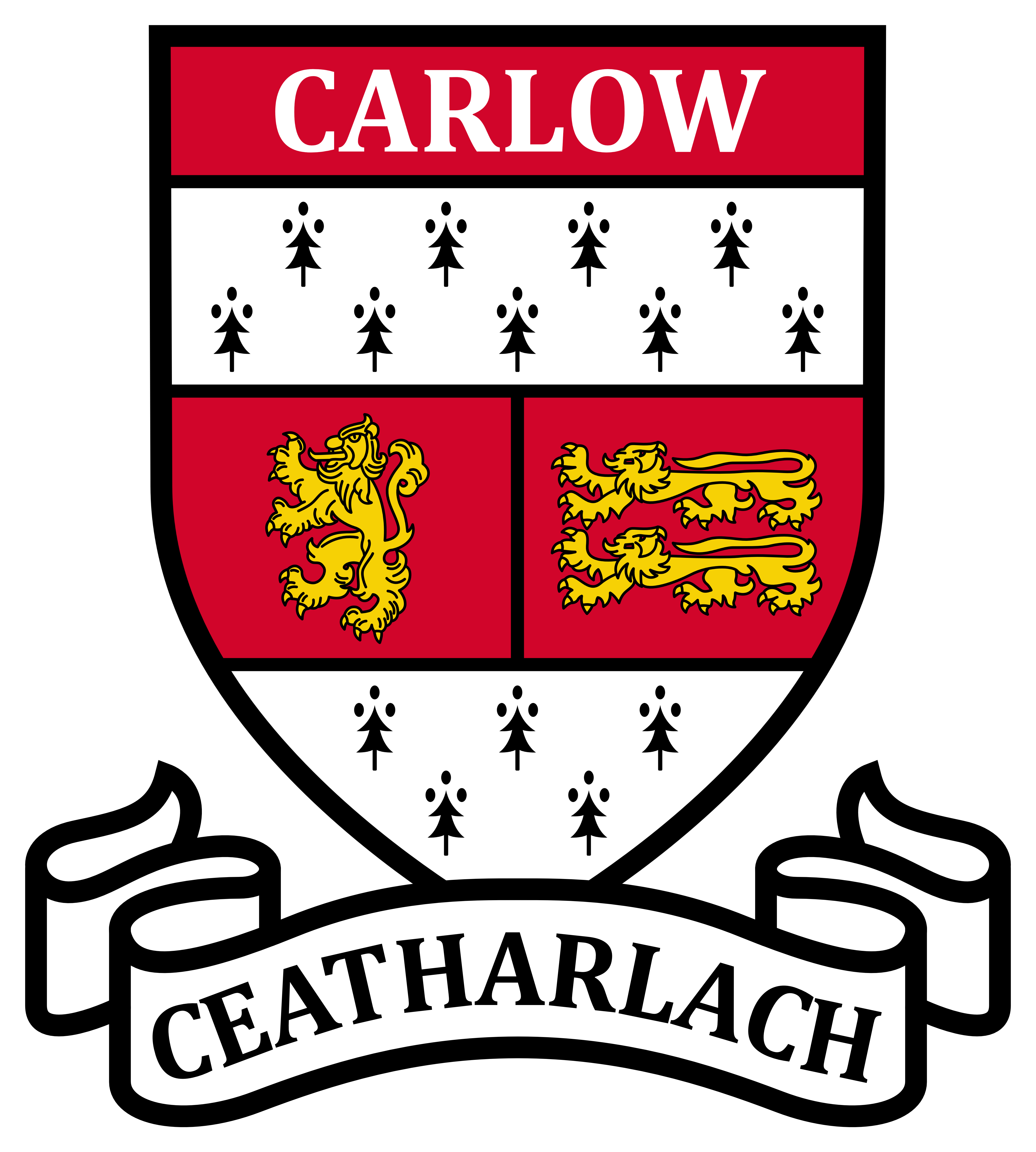 County Carlow Jerseys, Flags and Accessories