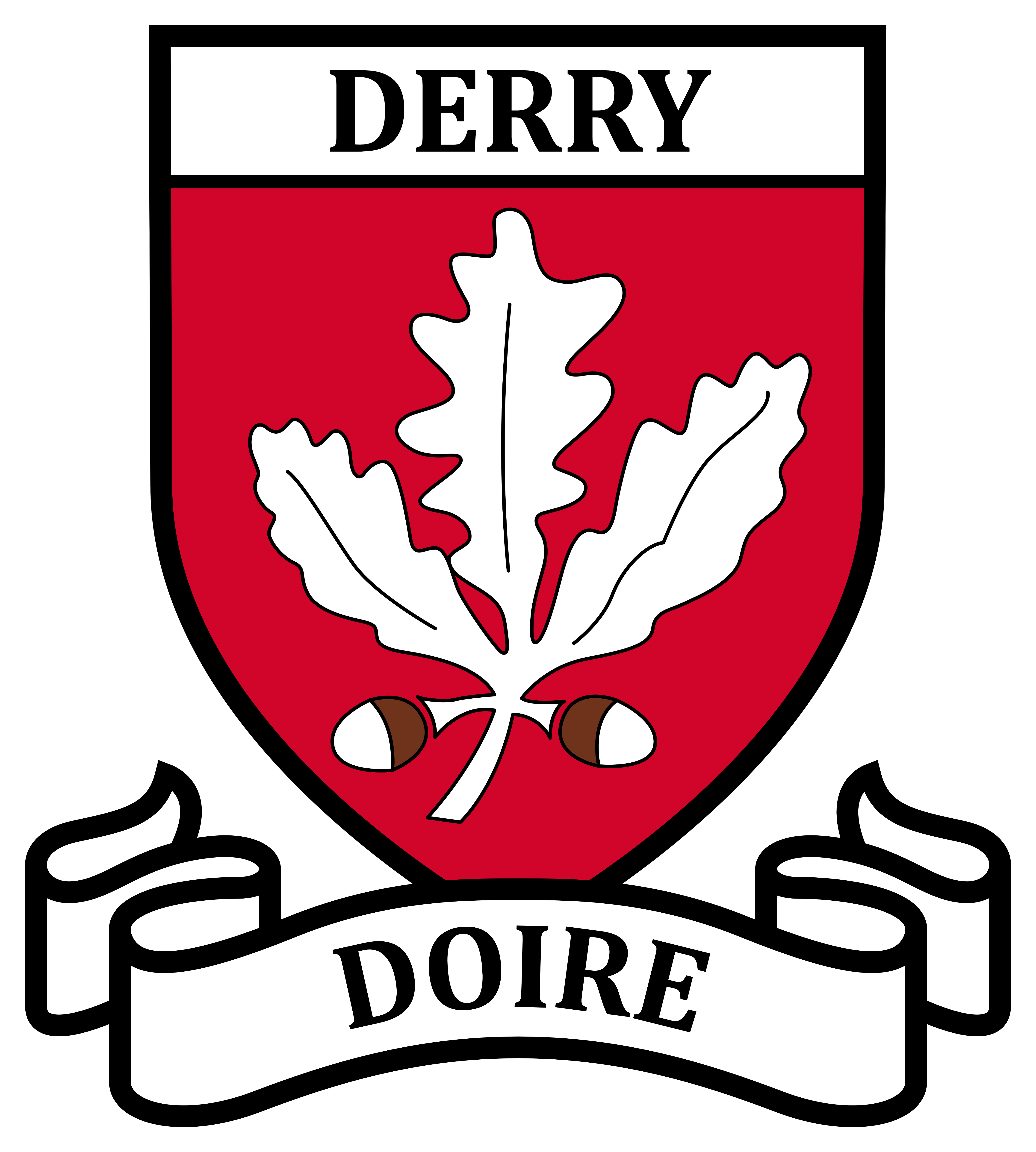 County Derry Jerseys, Flags and Accessories