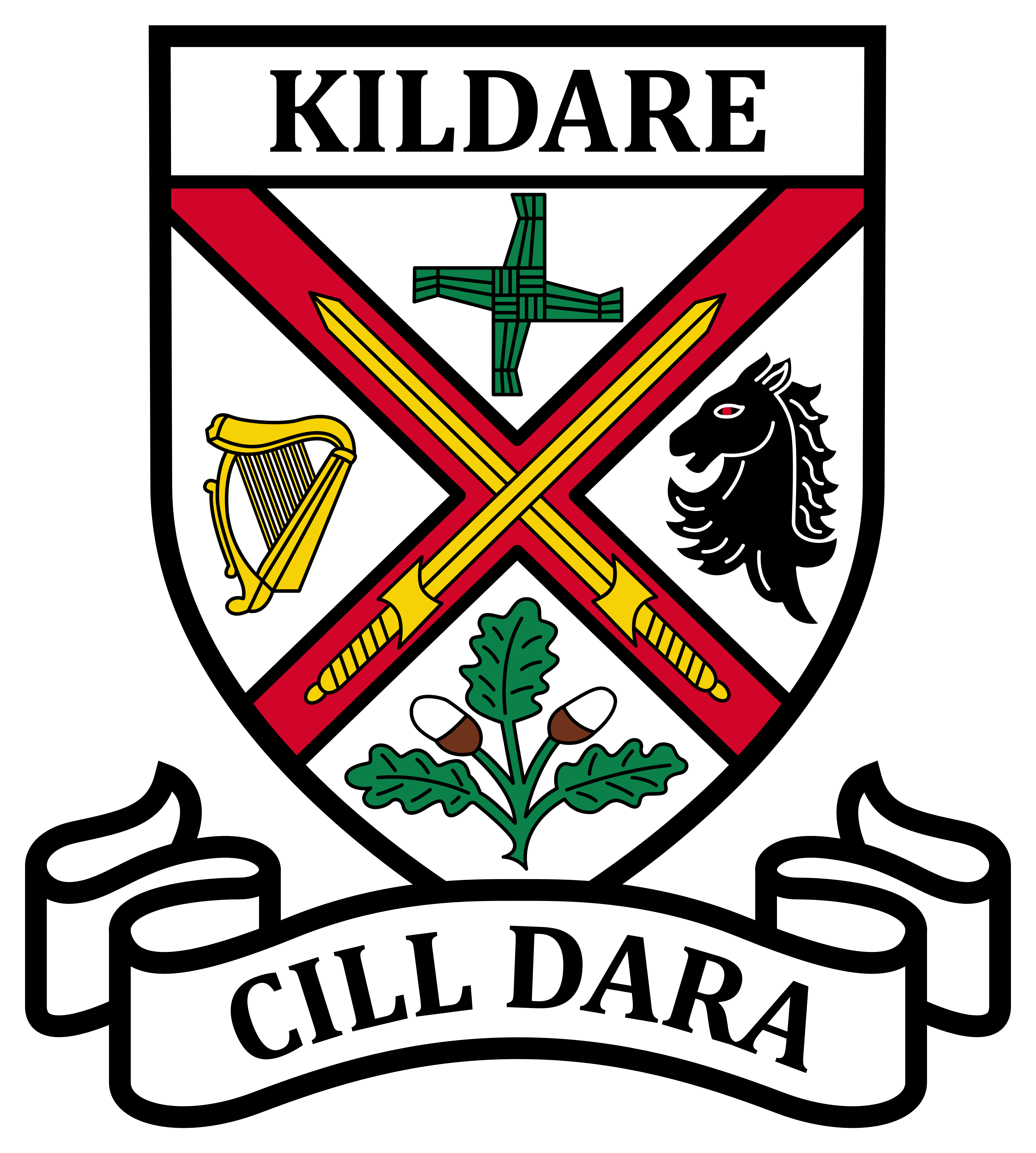 County Kildare Jerseys, Flags, and Accessories