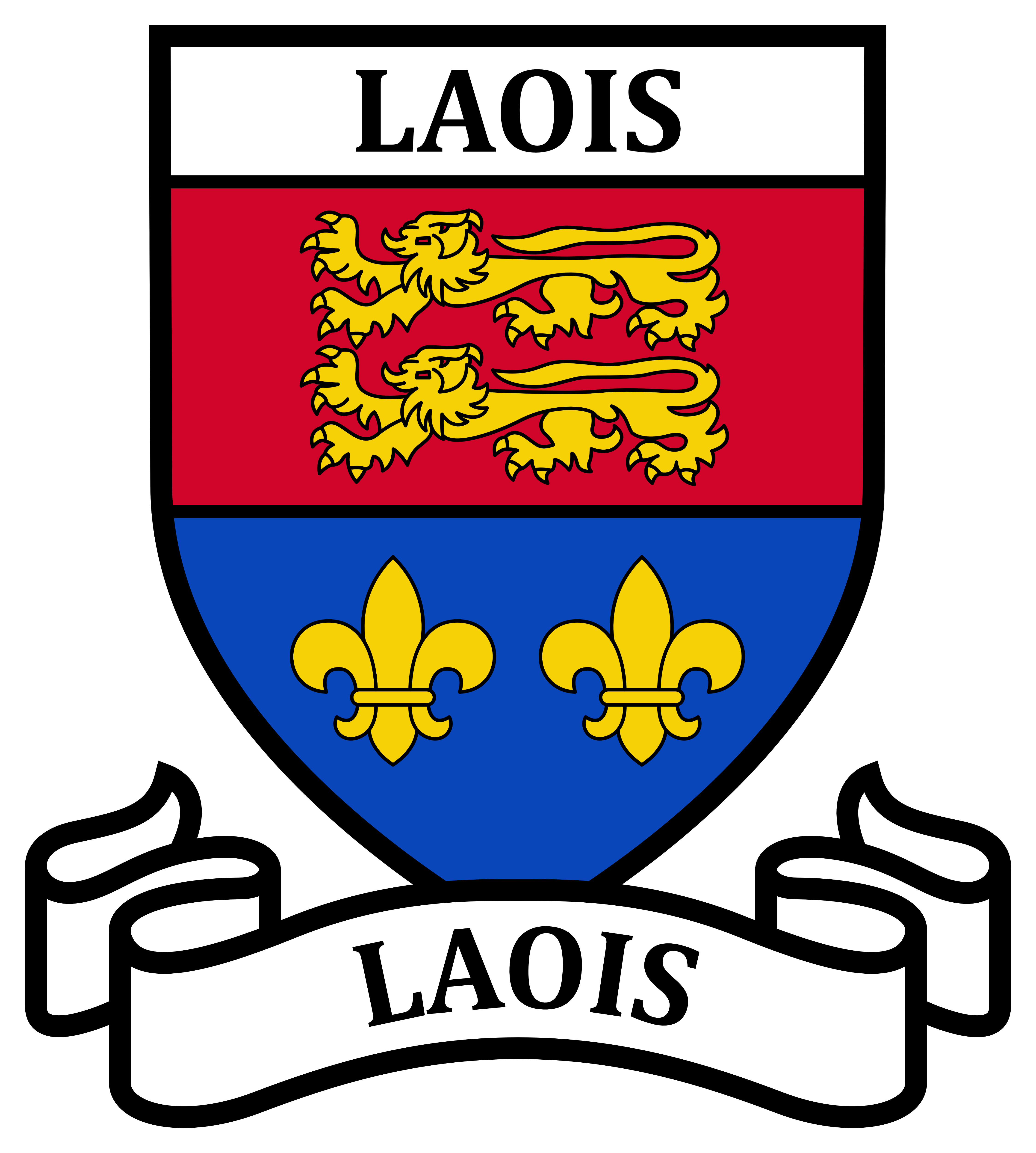 County Laois Jerseys, Flags and Accessories