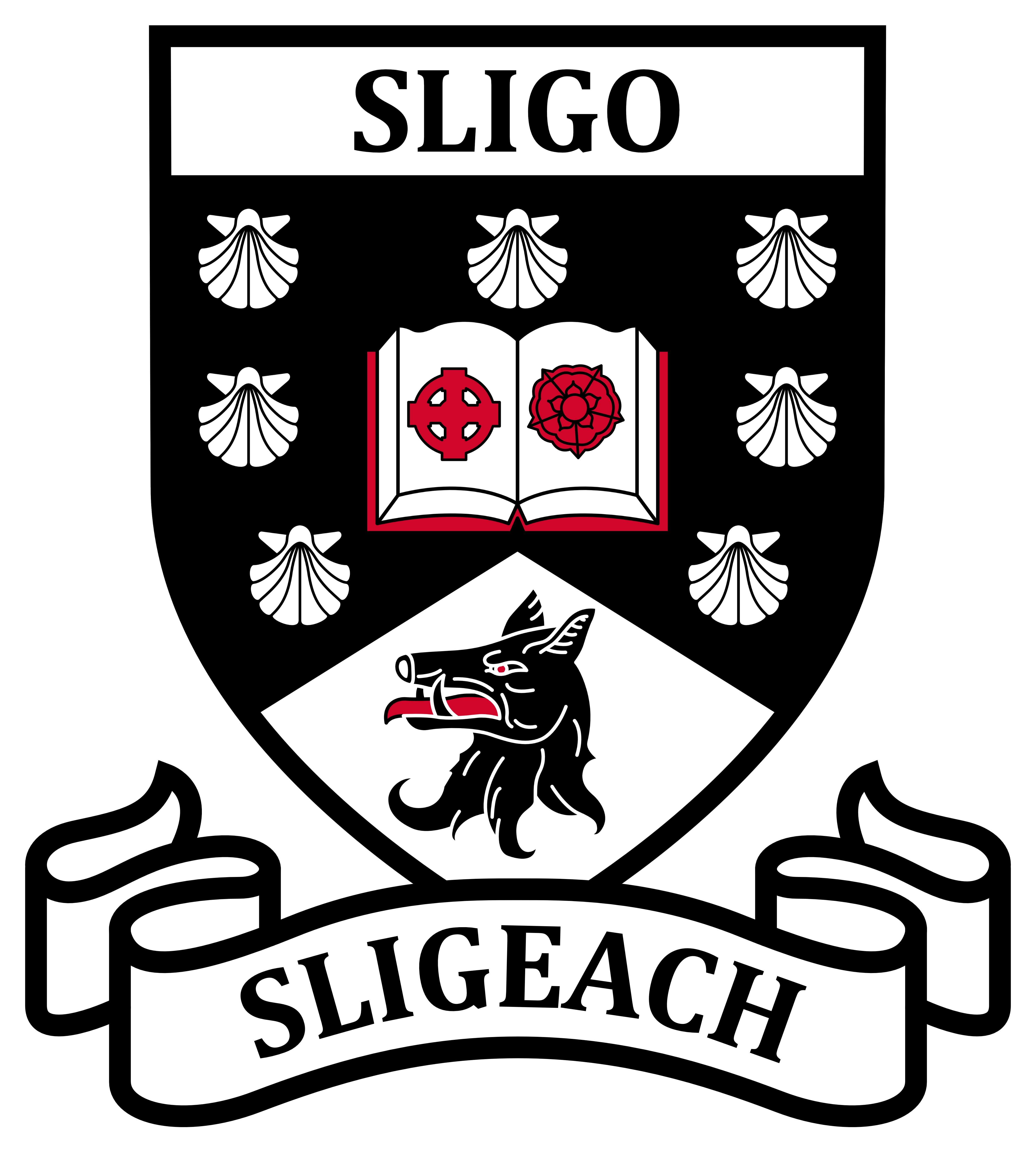 County Sligo Jerseys, Flags and Accessories