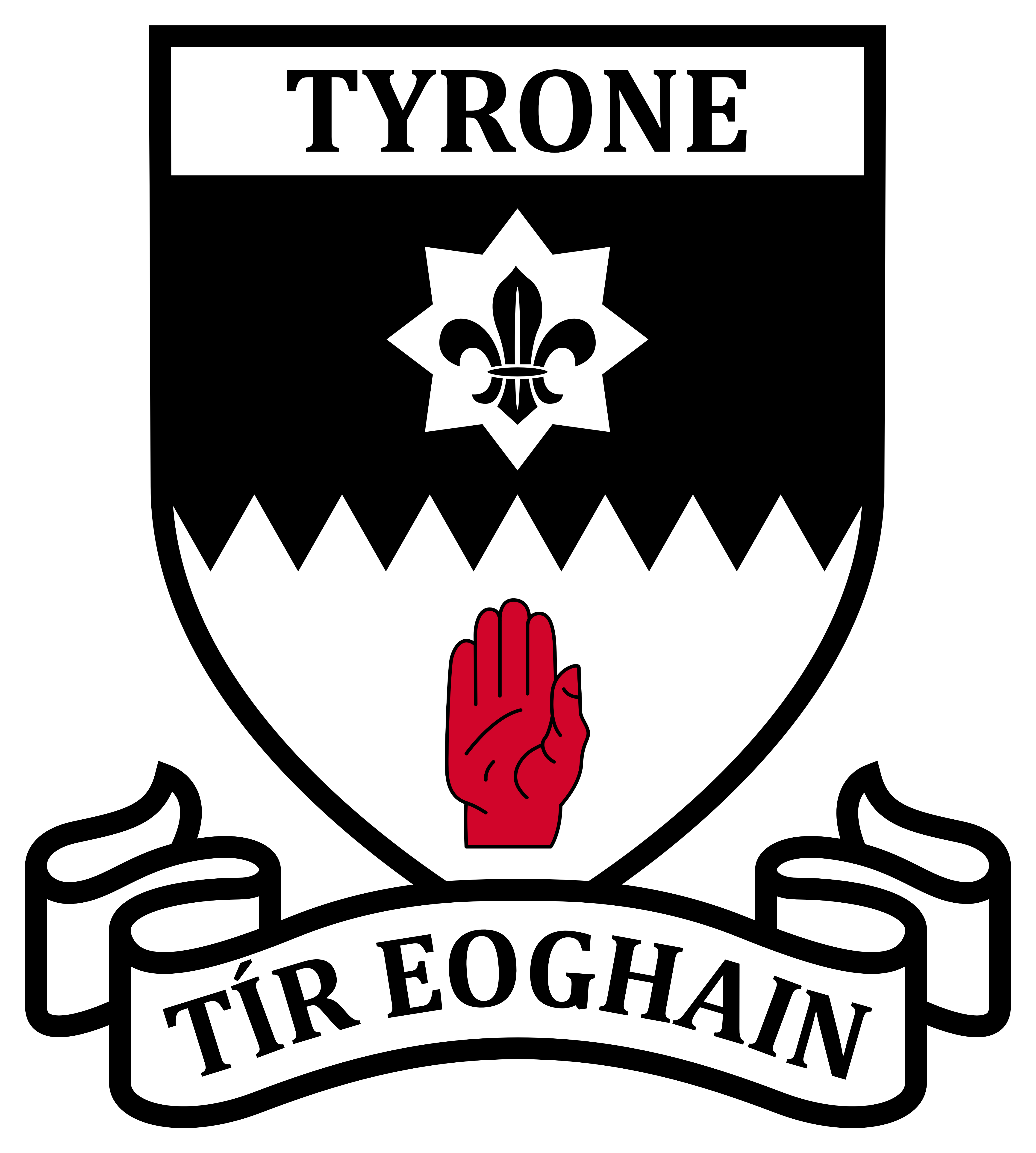 County Tyrone Jerseys, Flags and Accessories – Page 3 – County Collectibles